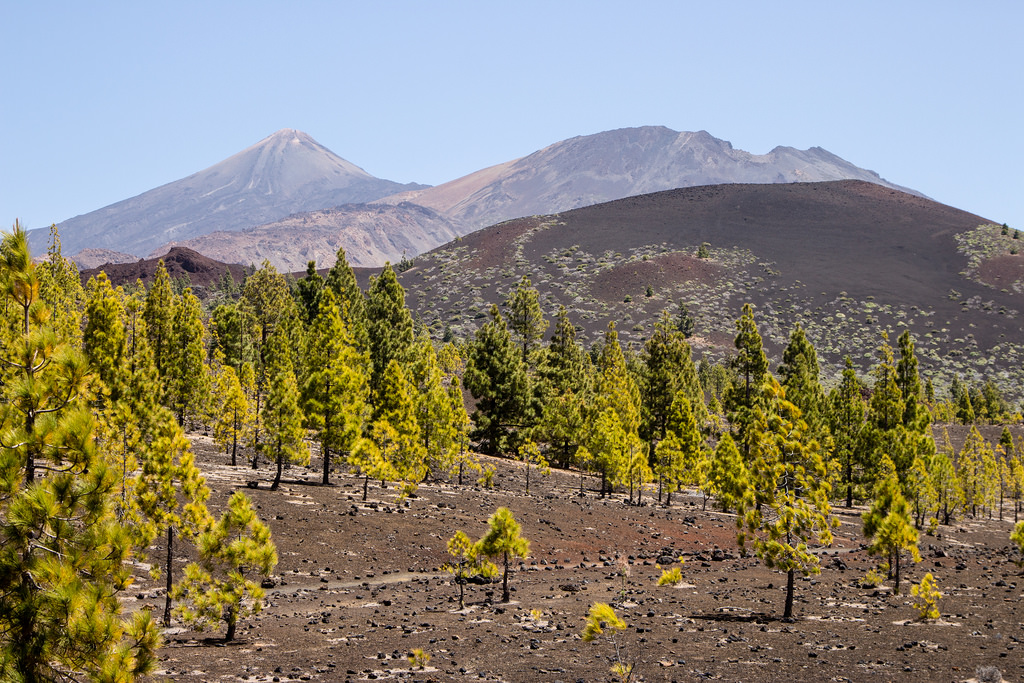 Spain's Highest Mountain: A Guide to Hiking Mount Teide • Angela Travels